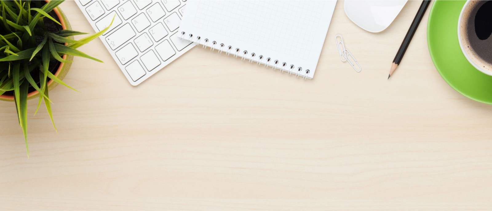 About FEV Tutor's Virtual Tutoring Services